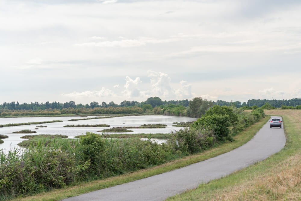 Parco del Delta del Po: tra storia e natura, un luogo unico in Italia