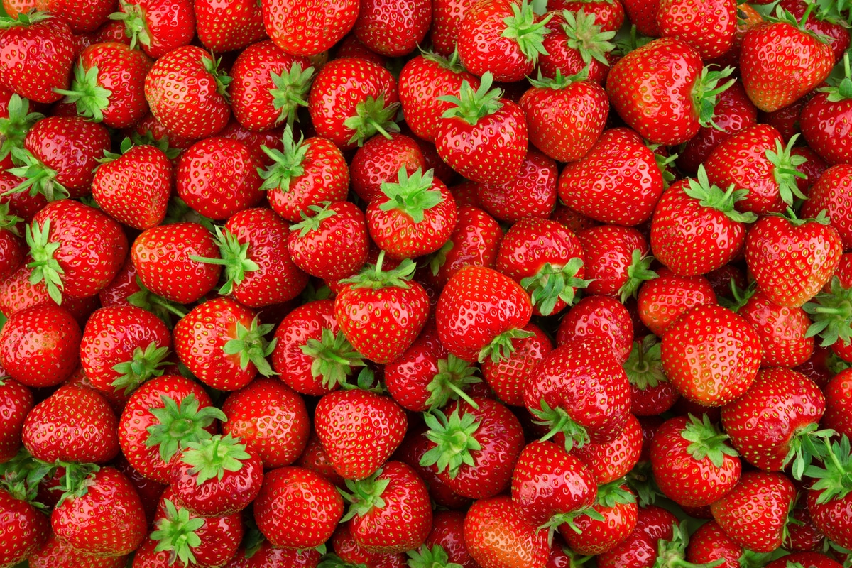 Fragole: scopriamone le proprietà e i benefici per la salute