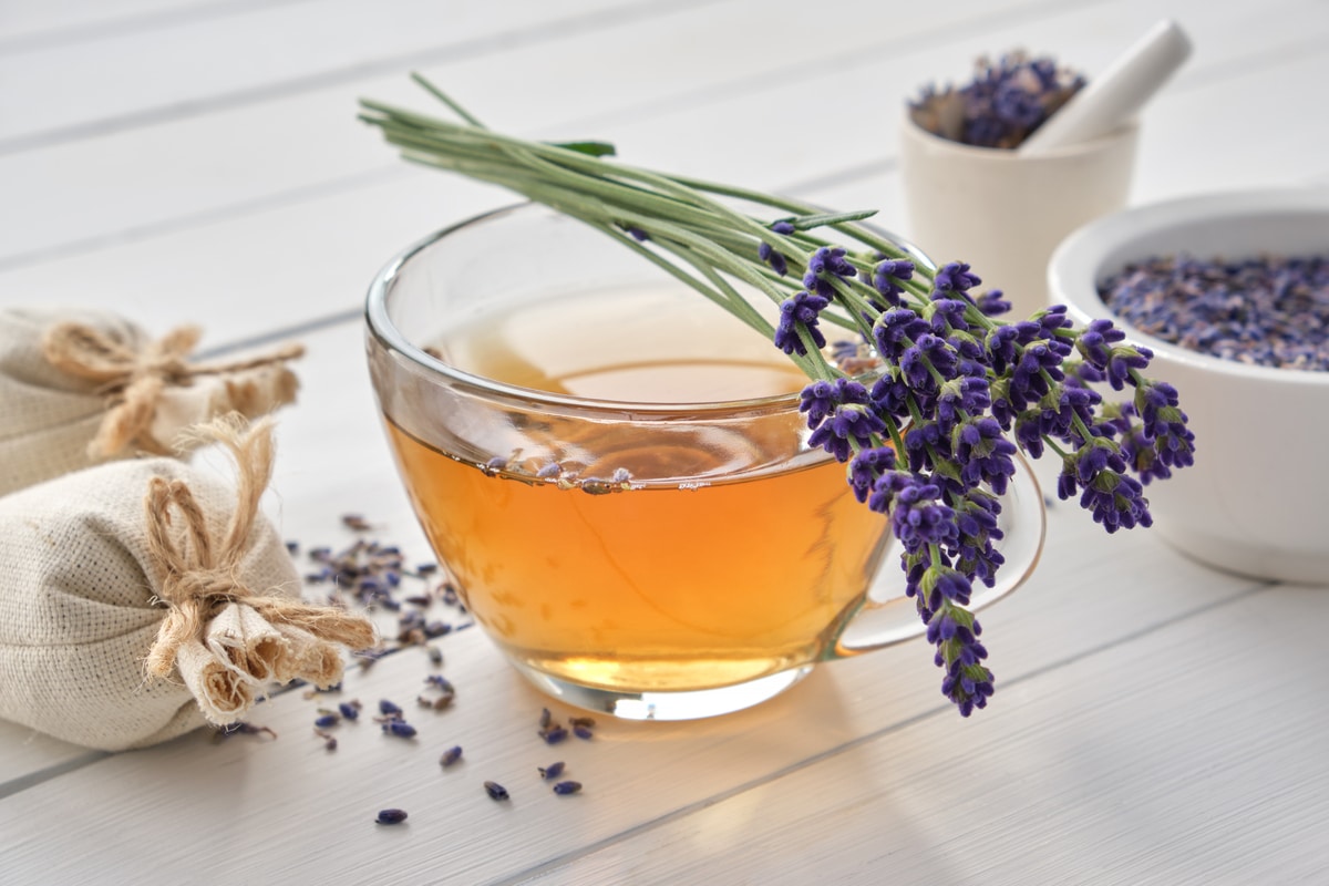 Bevande antistress: ricette ed ingredienti per tisane ed infusi rilassanti