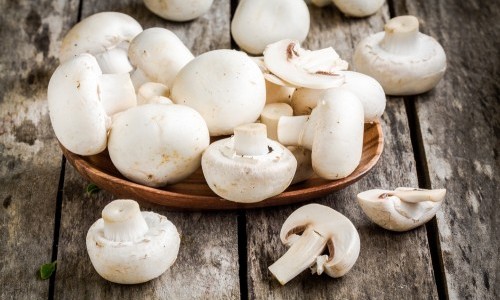 Funghi champignon proprietà e utilizzi - Tuttogreen