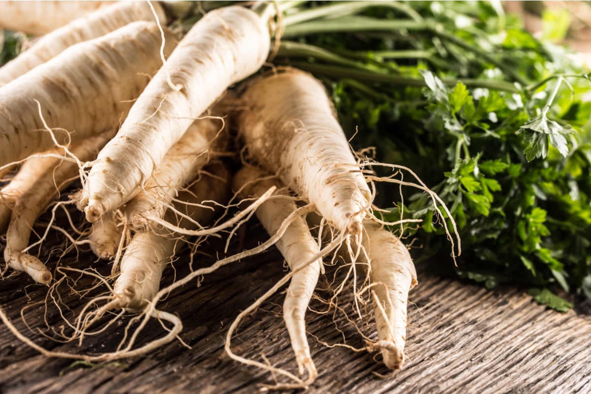 Pastinaca: ricette, proprietà e benefici per la salute