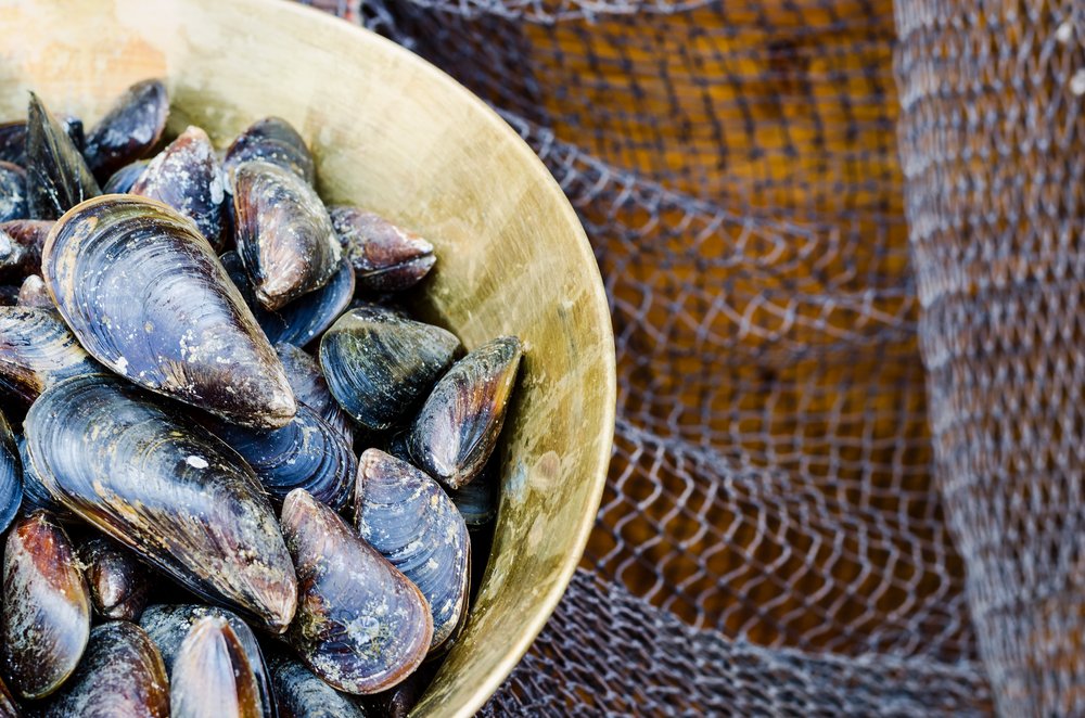 Mangiare cozze crude: rischi e avvertenze