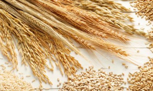 Acidi fitici e fitati: dove si trovano e come ridurli