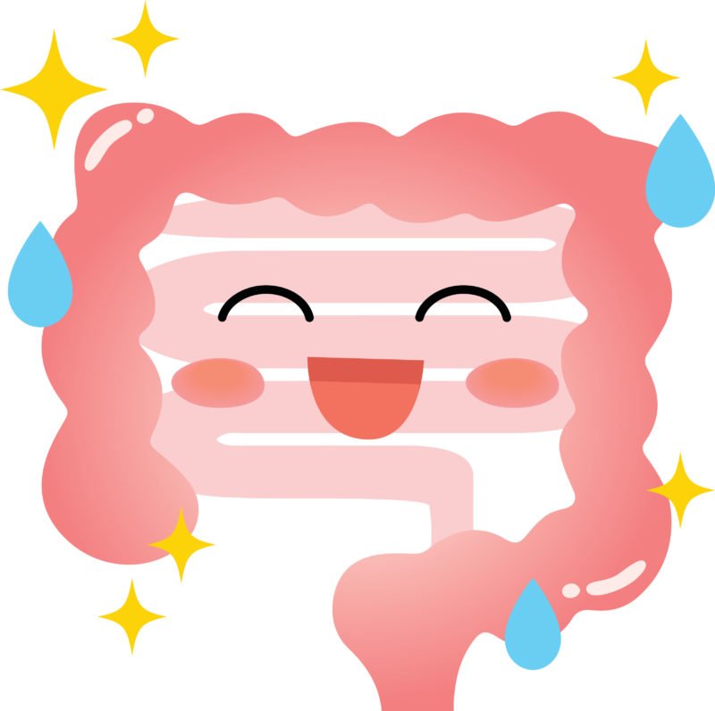 Pulizia intestinale, tecniche e benefici