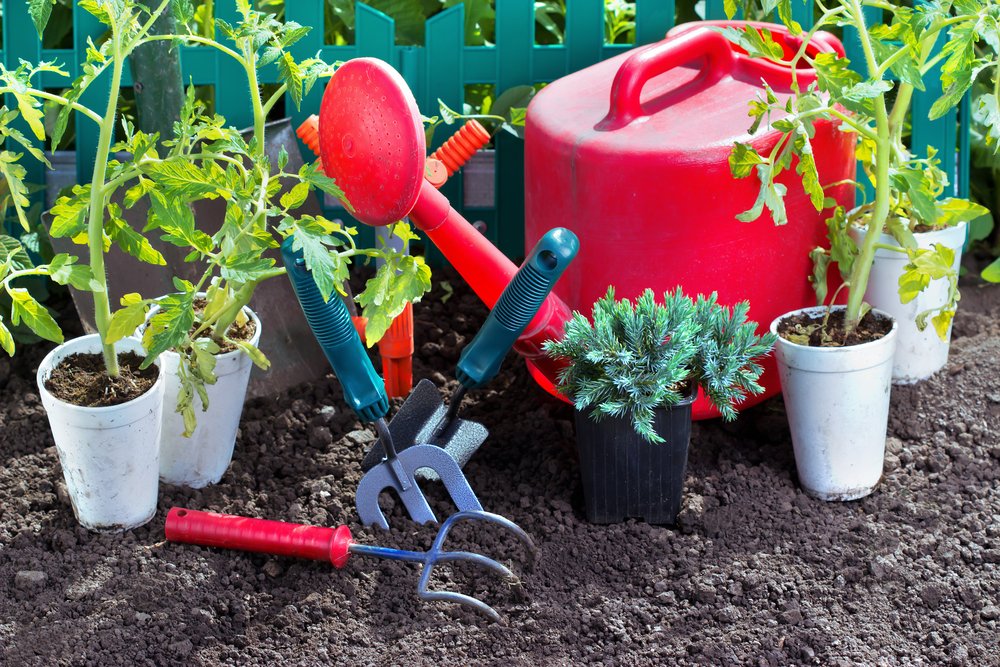 Giardinaggio, come curare le piante e se stessi