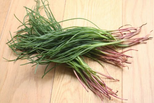 Agretti o barba di frate: ricette e proprietà di questa pianta erbacea