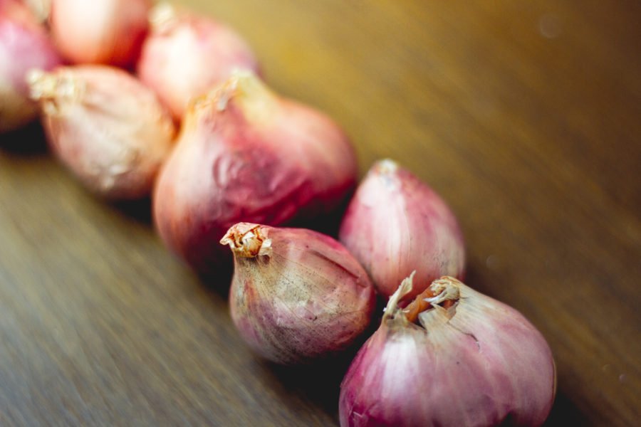 Scalogno: proprietà, benefici e utilizzi di pianta e bulbo