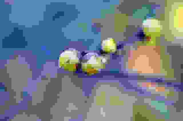 Calicantus: varietà, caratteristiche, coltivazione e cure