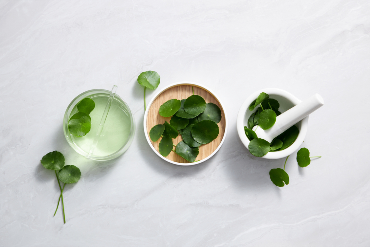 Centella proprietà e controindicazioni