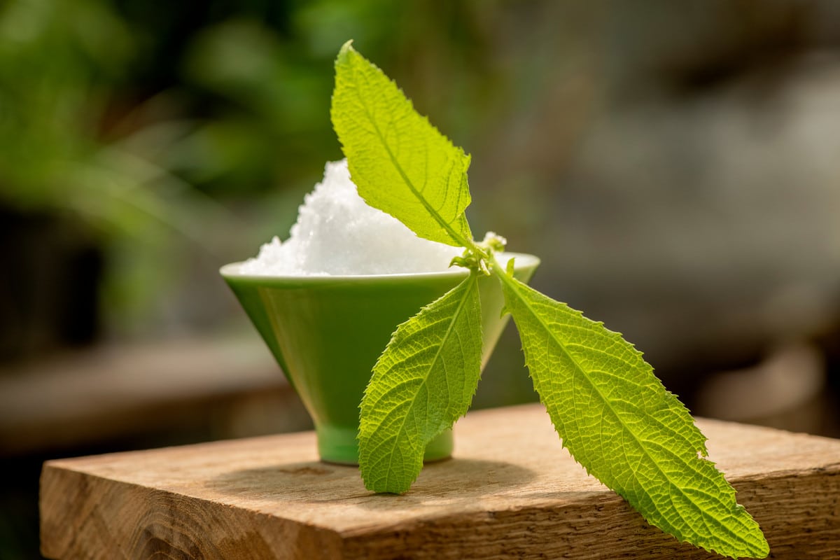 Canfora: proprietà, utilizzi e possibili controindicazioni