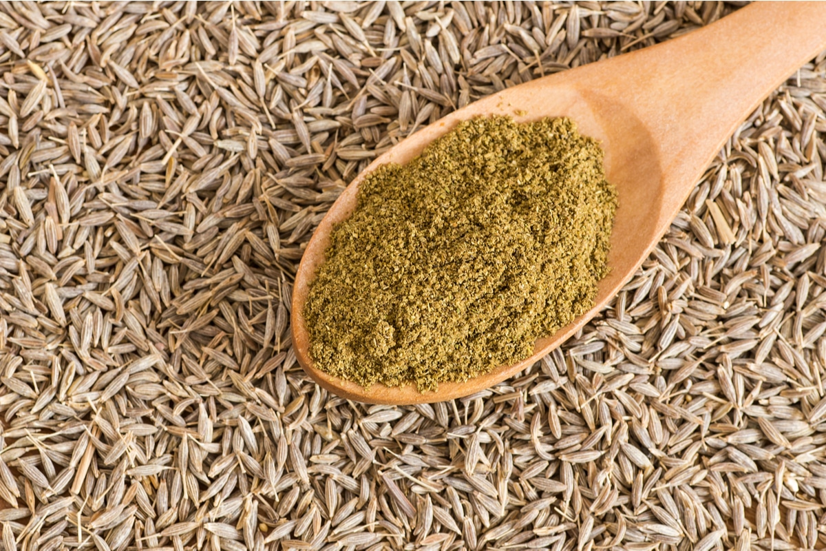 Cumino: proprietà, benefici e modi di utilizzo