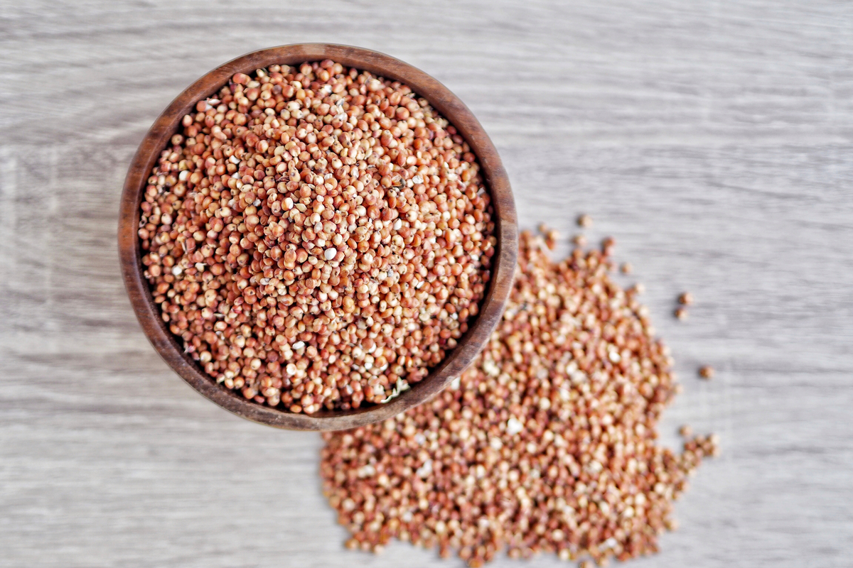 Sorgo: le proprietà e gli utilizzi di un cereale senza glutine