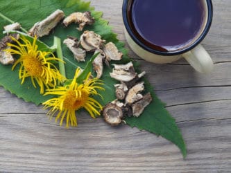 Enula campana: proprietà e utilizzi di questa pianta erbacea