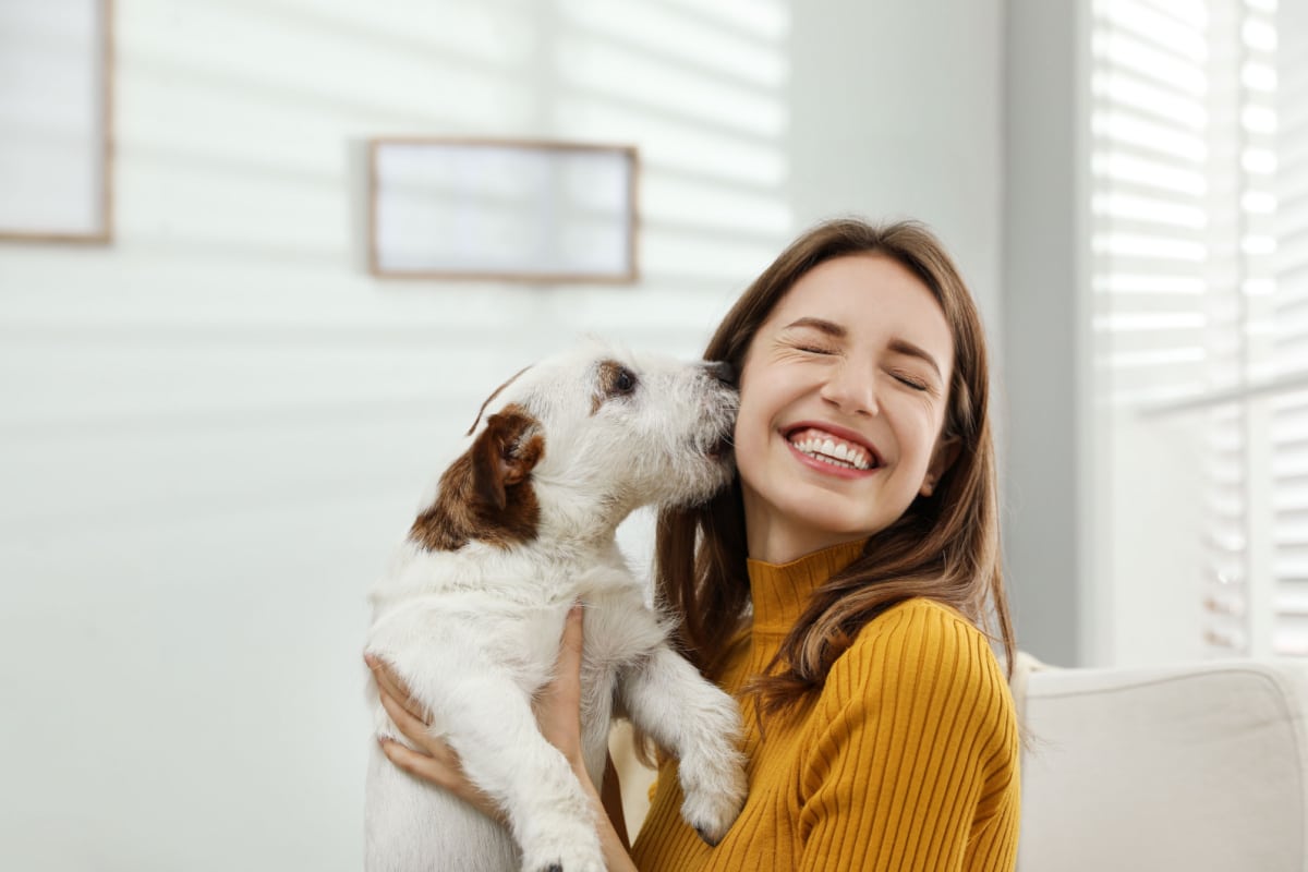Cani da compagnia: razze, caratteristiche, educazione