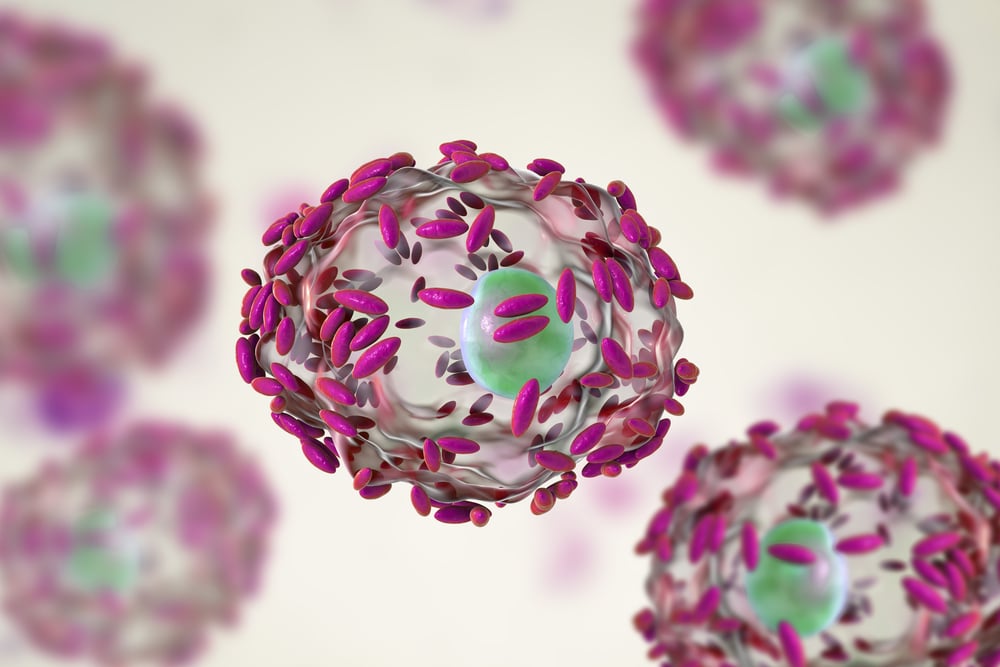 Gardnerella: cause e rimedi naturali per guarire senza farmaci