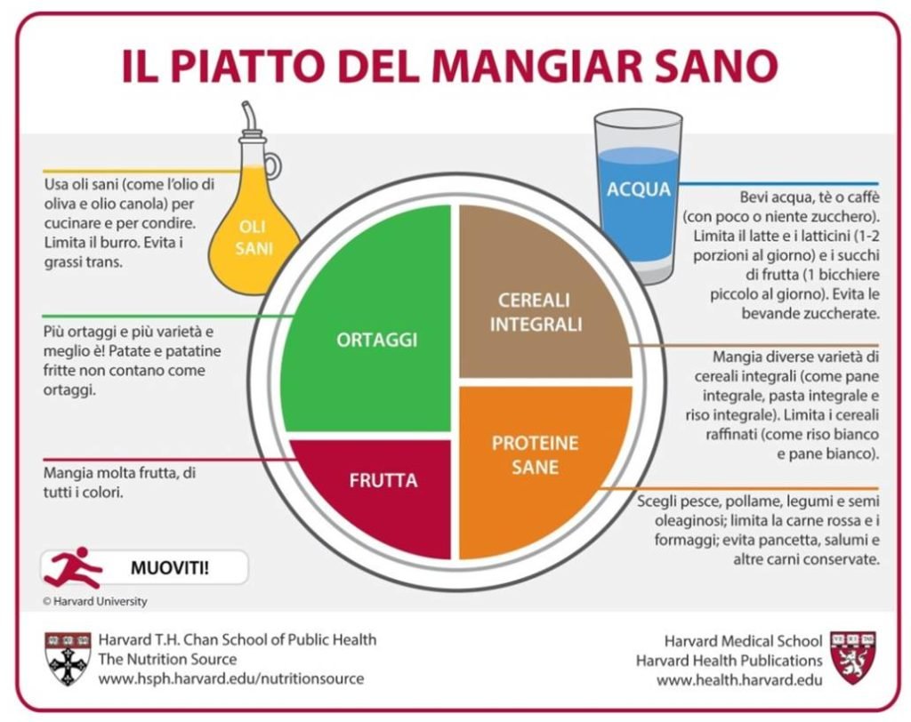 Il piatto del mangiare sano: un metodo semplice per mangiare bene