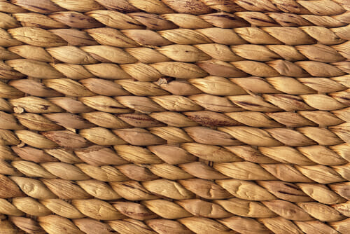 Rafia o raffia: una fibra naturale che vanta innumerevoli utilizzi ...