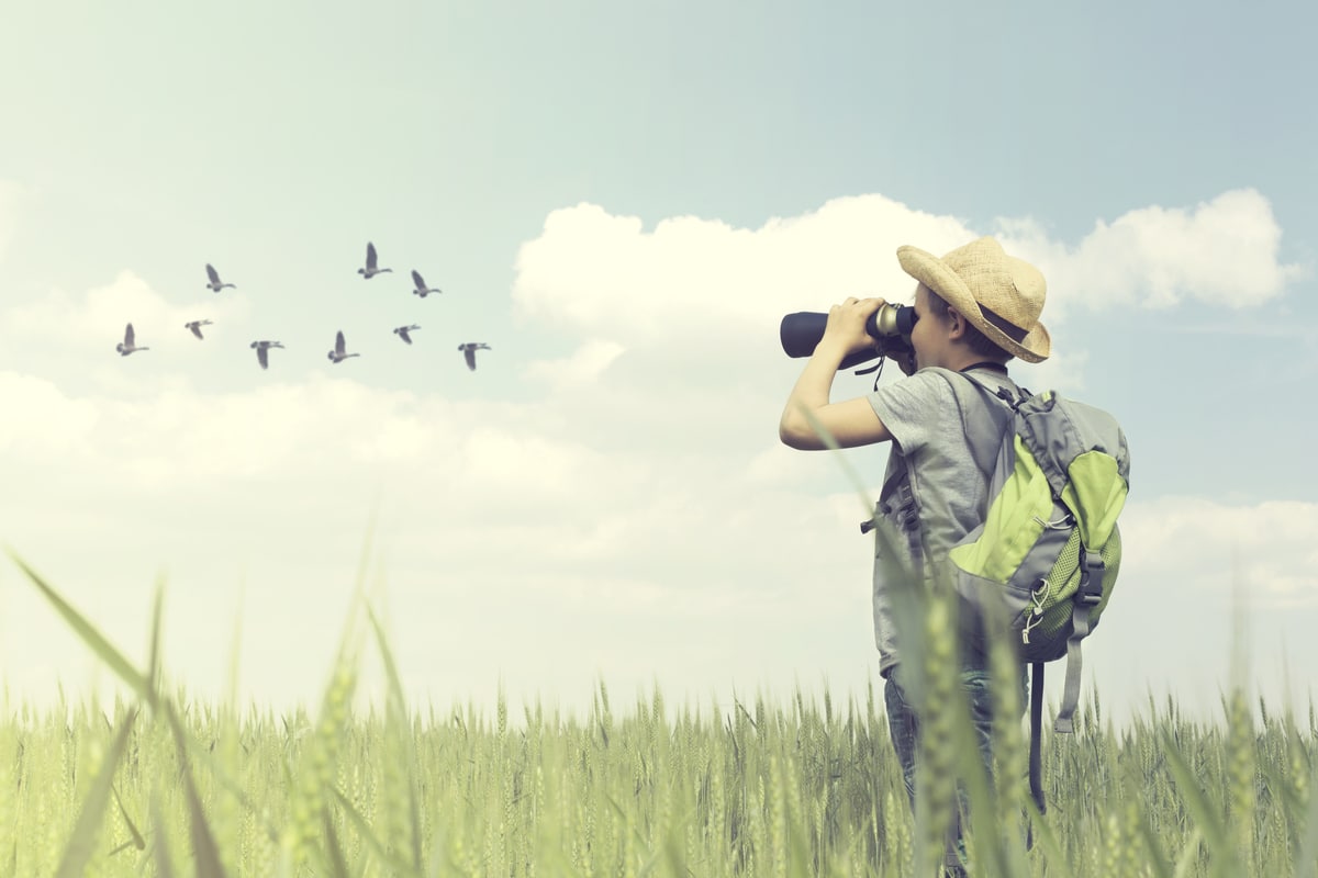 Birdwatching: che cos'è, come farlo e dove farlo in Italia Birdwatching: che cos'è, come farlo e dove farlo in Italia