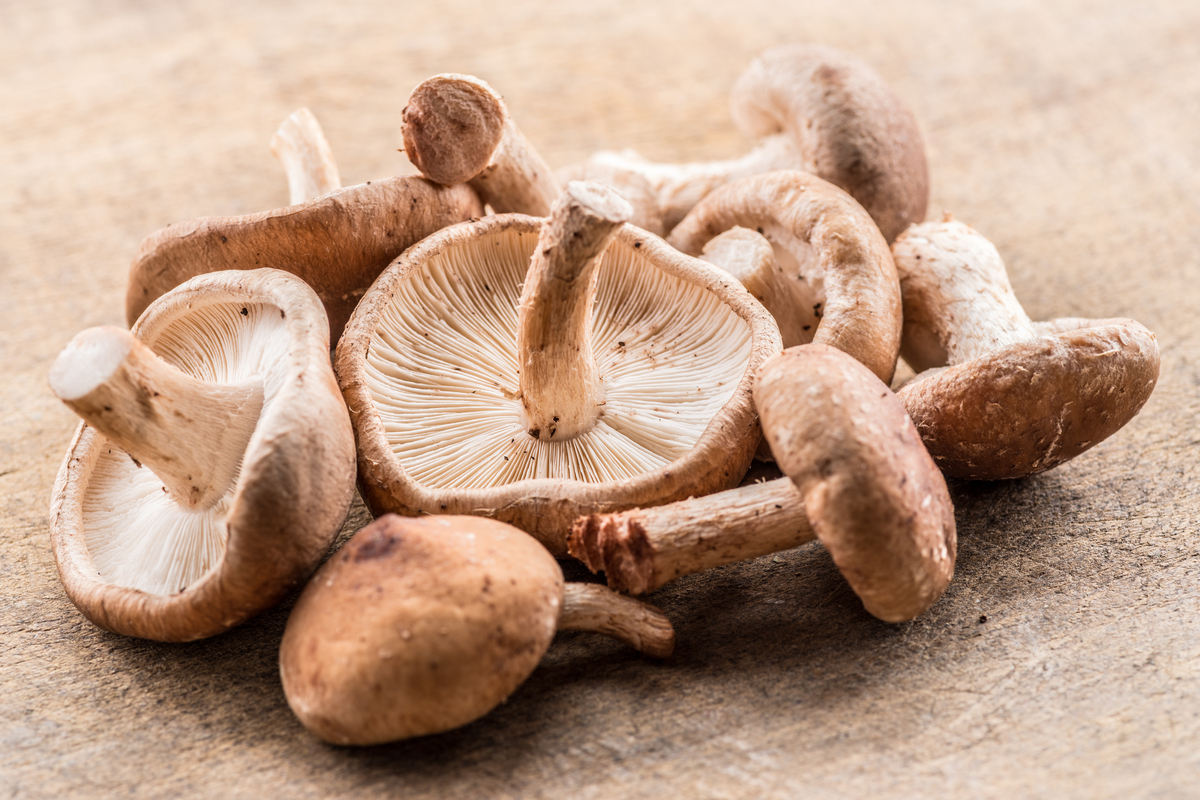 Funghi shiitake: proprietà e usi di un alimento principe della cucina ...