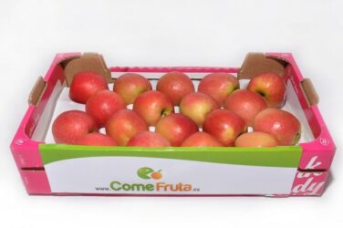 Mela: informazioni, benefici, ricette e curiosità su questo frutto