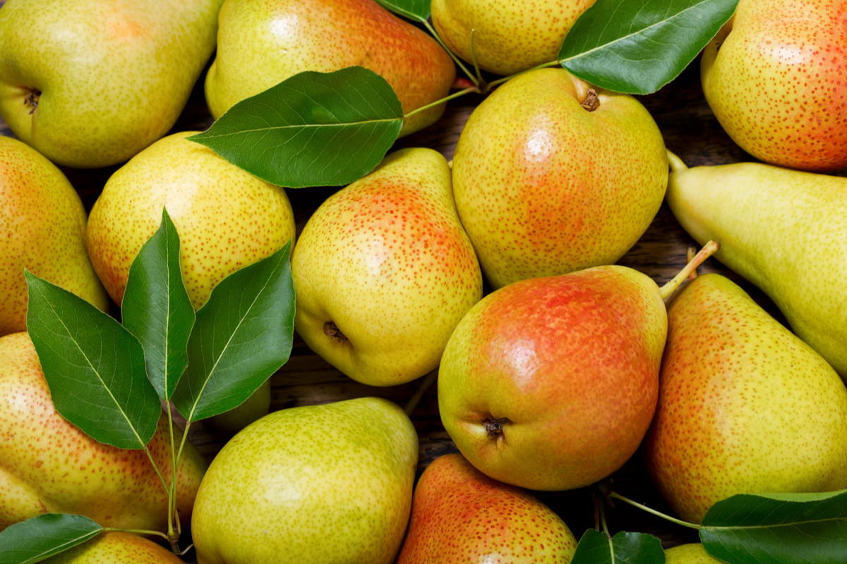 Pere: scoprite le varietà, come cucinarle e conservarle al meglio