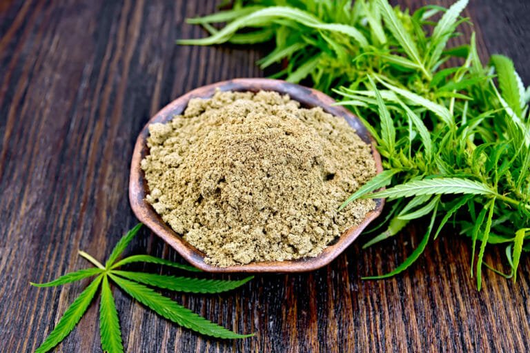 Farina di canapa: proprietà e utilizzi della farina gluten-free
