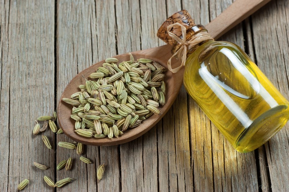 Scopriamo tutte le qualità dell’olio essenziale di finocchio