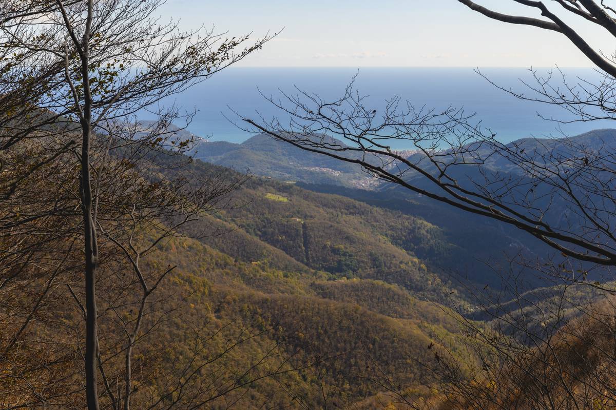 Val Bormida: dove si trova, fauna e flora, piana Crixia
