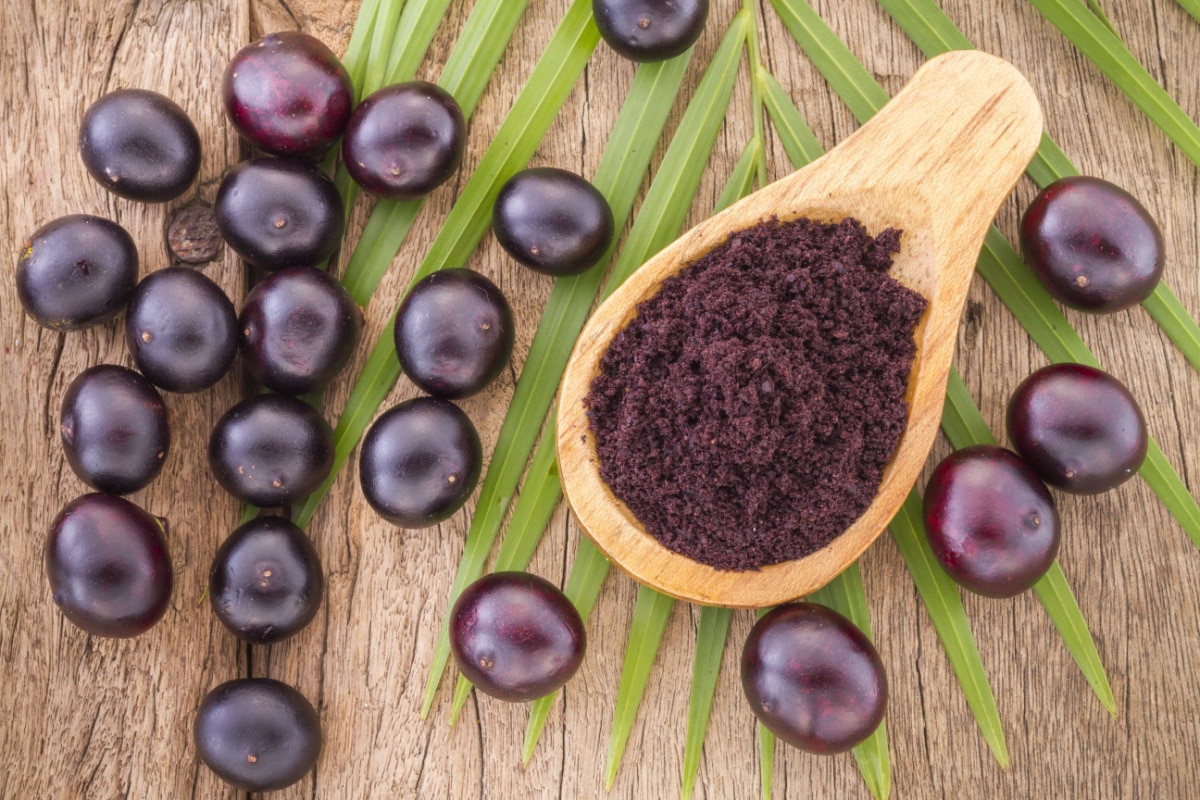 Bacche di acai: proprietà, utilizzi e controindicazioni