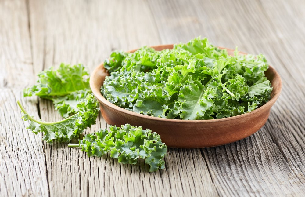 Cavolo riccio o kale: tutto sulla verdura più amata dalle star