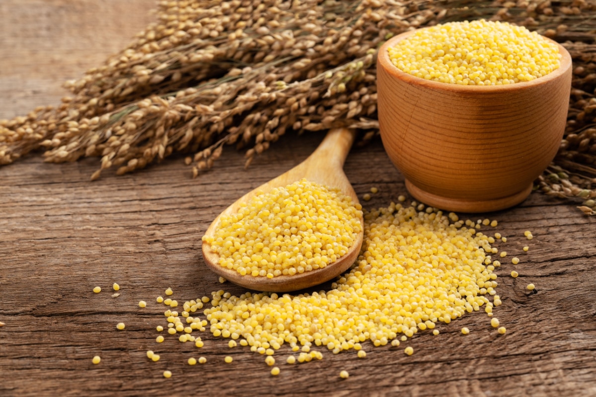 Miglio: proprietà e ricette con questo cereale assai nutriente