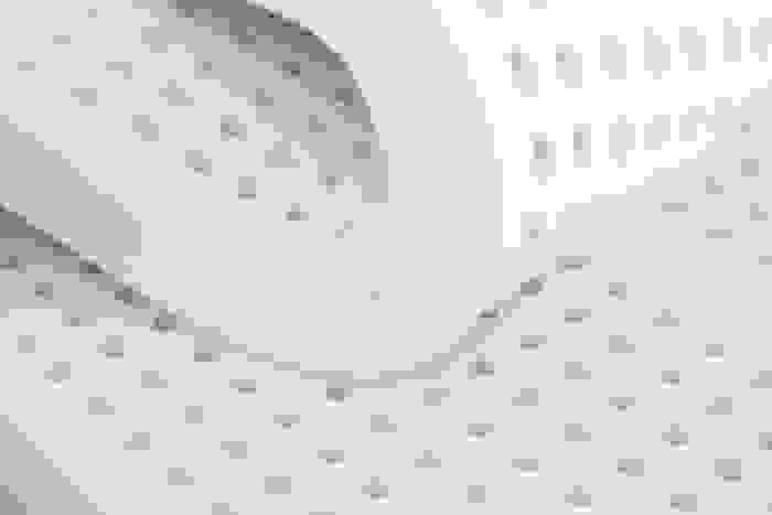 Caucciù la gomma naturale più antica al mondo dai mille utilizzi