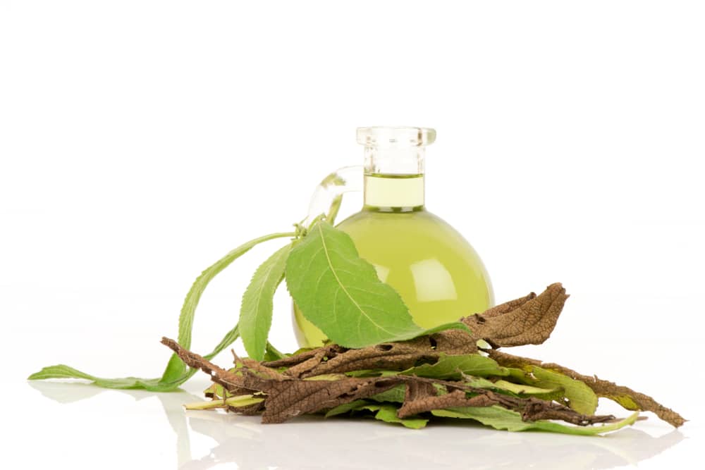 Olio di canfora: proprietà benefici, usi e controindicazioni dell'olio ...