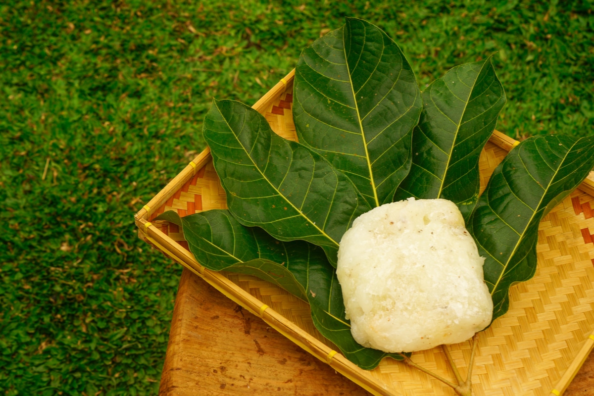 Elemi: tutte le proprietà di questa resina naturale delle Filippine