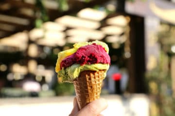 Mastice: impieghi e consigli su come utilizzarlo