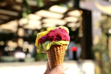 Mastice: impieghi e consigli su come utilizzarlo