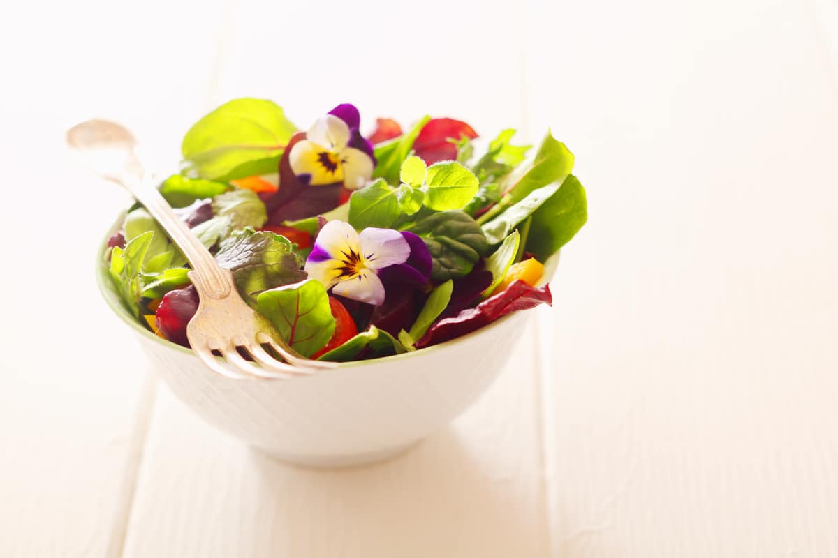 Fiori commestibili: quali sono, che sapore hanno e come utilizzarli