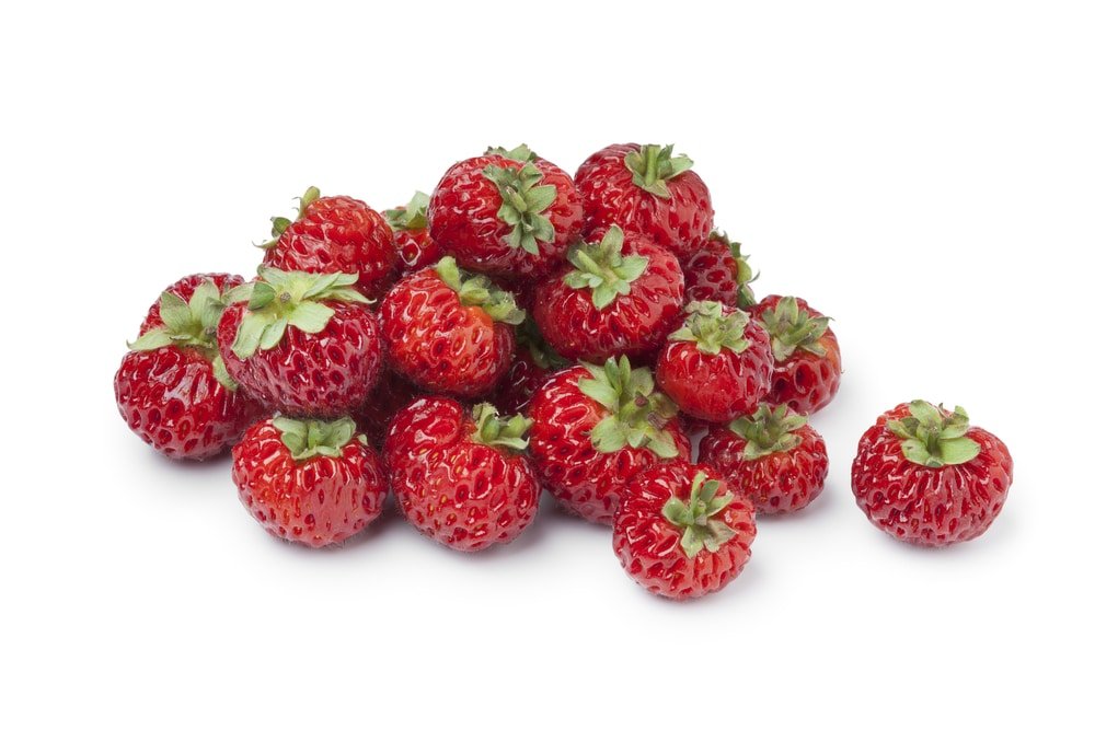 Framberry: fragola e lampone, coltivazione in piena terra o in vaso