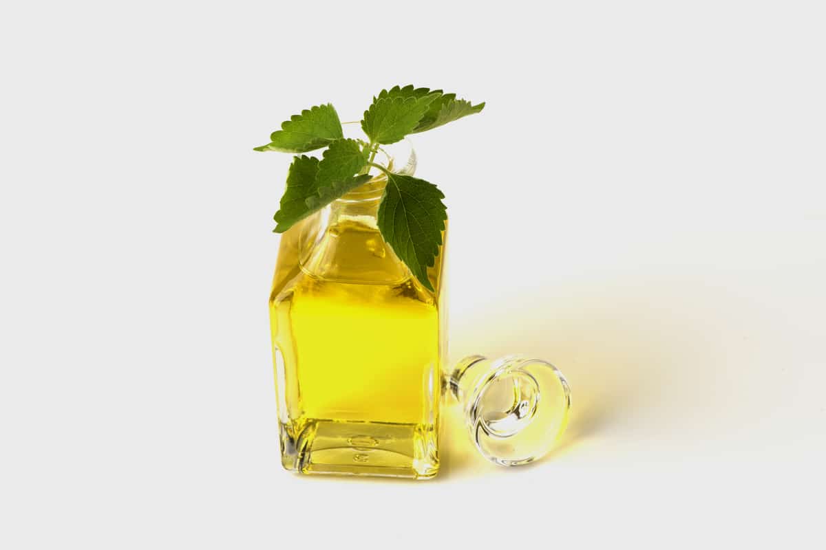 Olio essenziale di nardo: caratteristiche, benefici e utilizzi