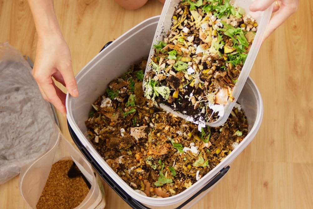 Bokashi: guida al metodo di compostaggio giapponese fai da te