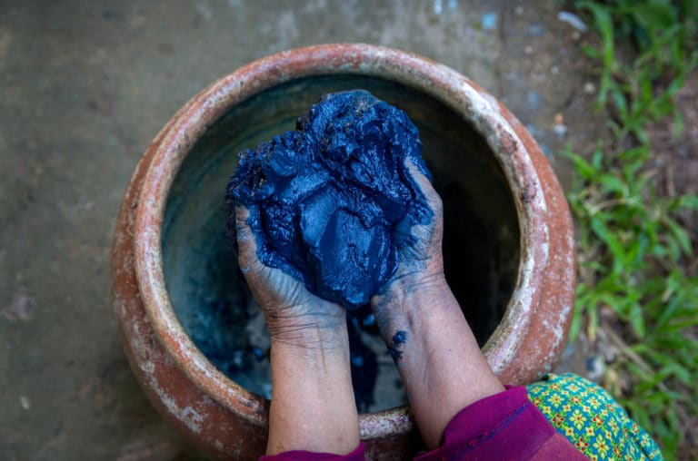 La pianta dell'indaco: coltivazione e utilizzi della pianta