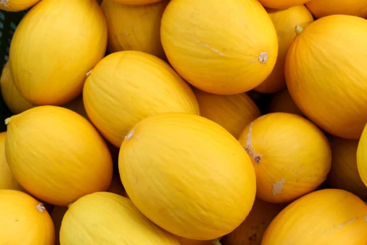 Melone bianco invernale: tipi, caratteristiche, proprietà e ricette ...