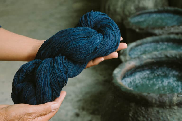 La pianta dell'indaco: coltivazione e utilizzi della pianta