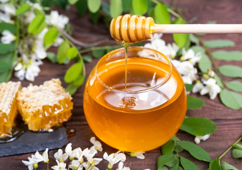 Robinia (Robinia Pseudoacacia): proprietà, virtù e utilizzi della pianta