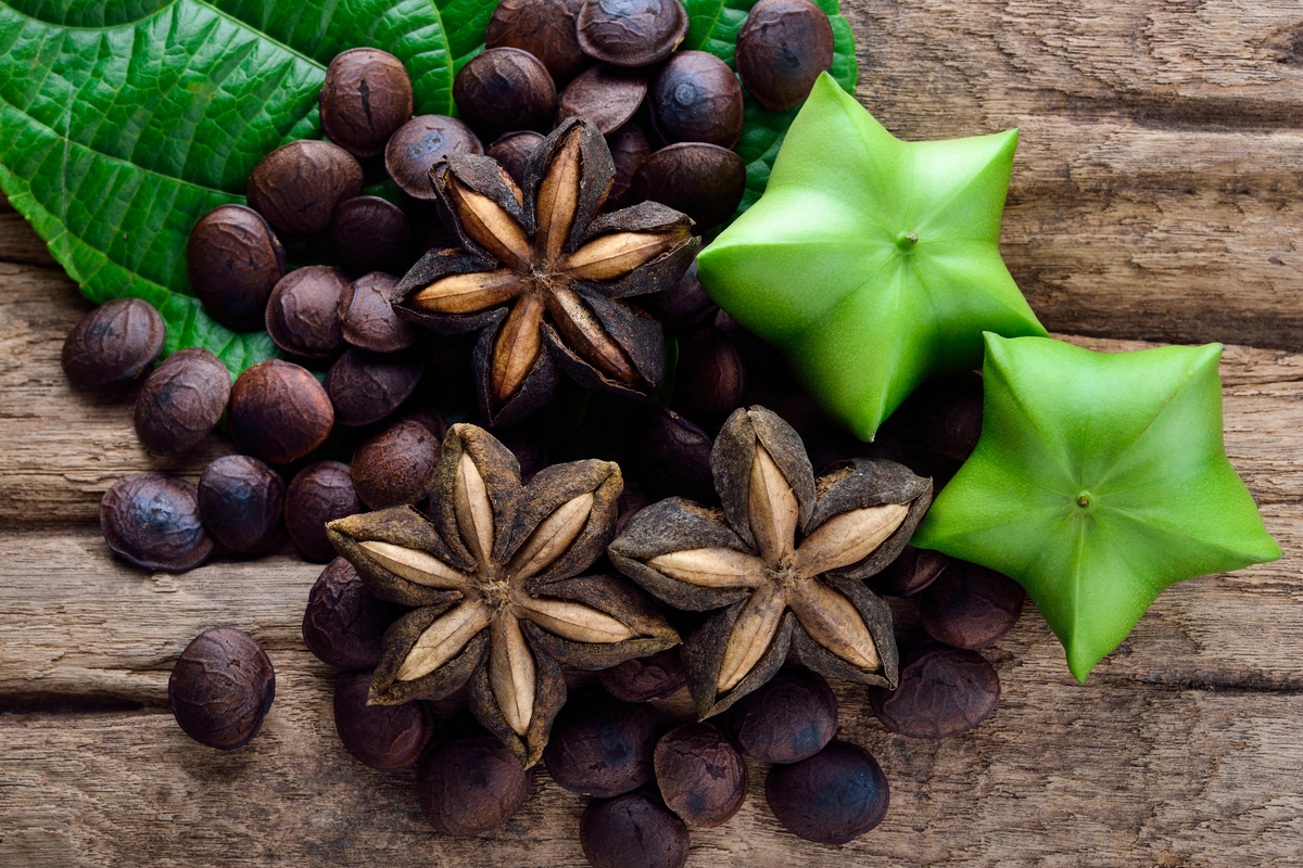 Sacha inchi: proprietà e utilizzi di questa pianta che viene dal Perù