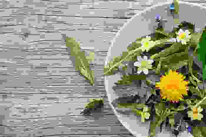 Erbe officinali: elenco, proprietà e utilizzi in cucina e per tisane