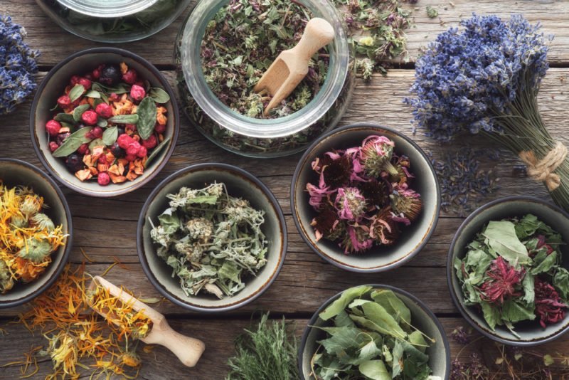 Erbe officinali: elenco, proprietà e utilizzi in cucina e per tisane