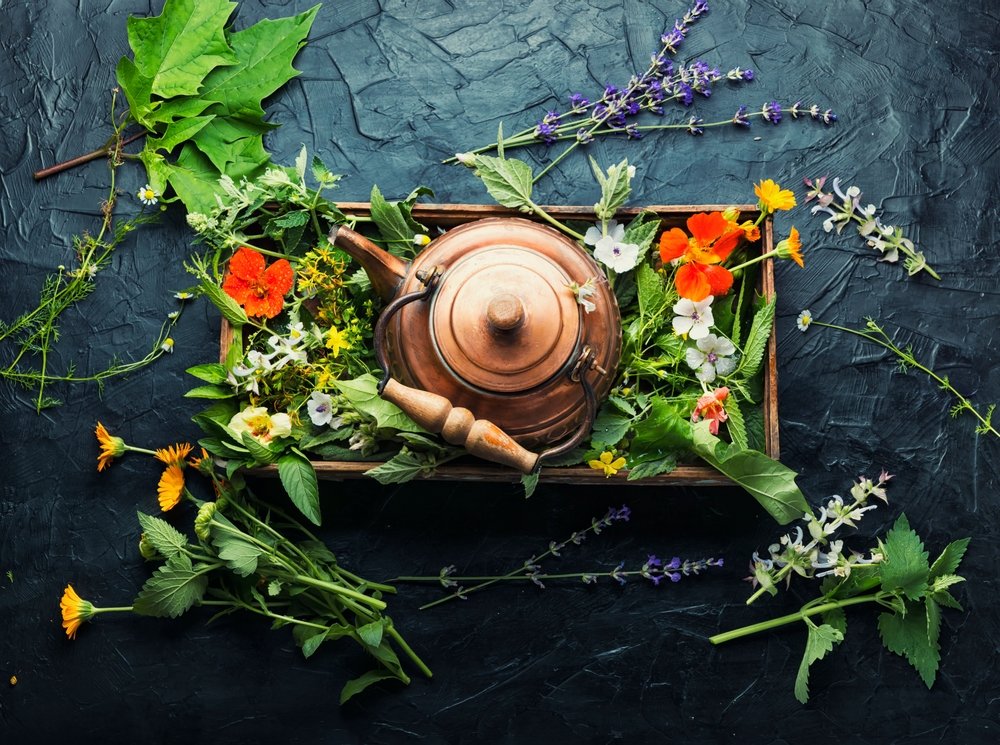 Erbe officinali: elenco, proprietà e utilizzi in cucina e per tisane