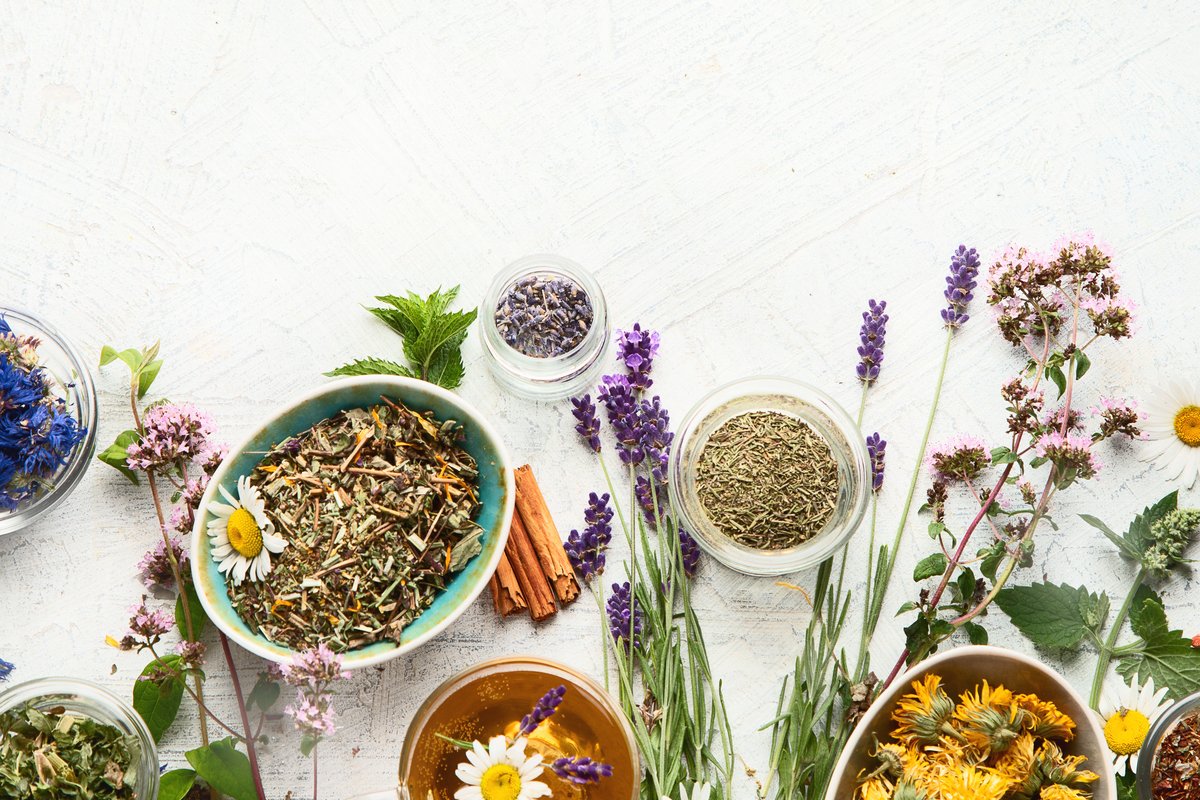 Piante officinali: quali sono e quali proprietà possiedono