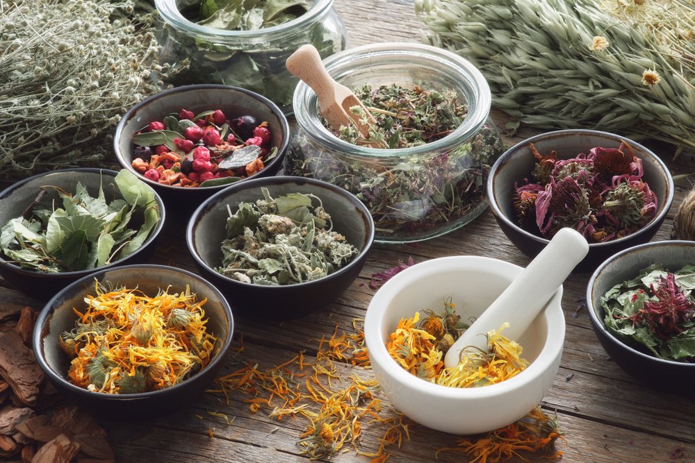 Piante officinali: quali sono e quali proprietà possiedono